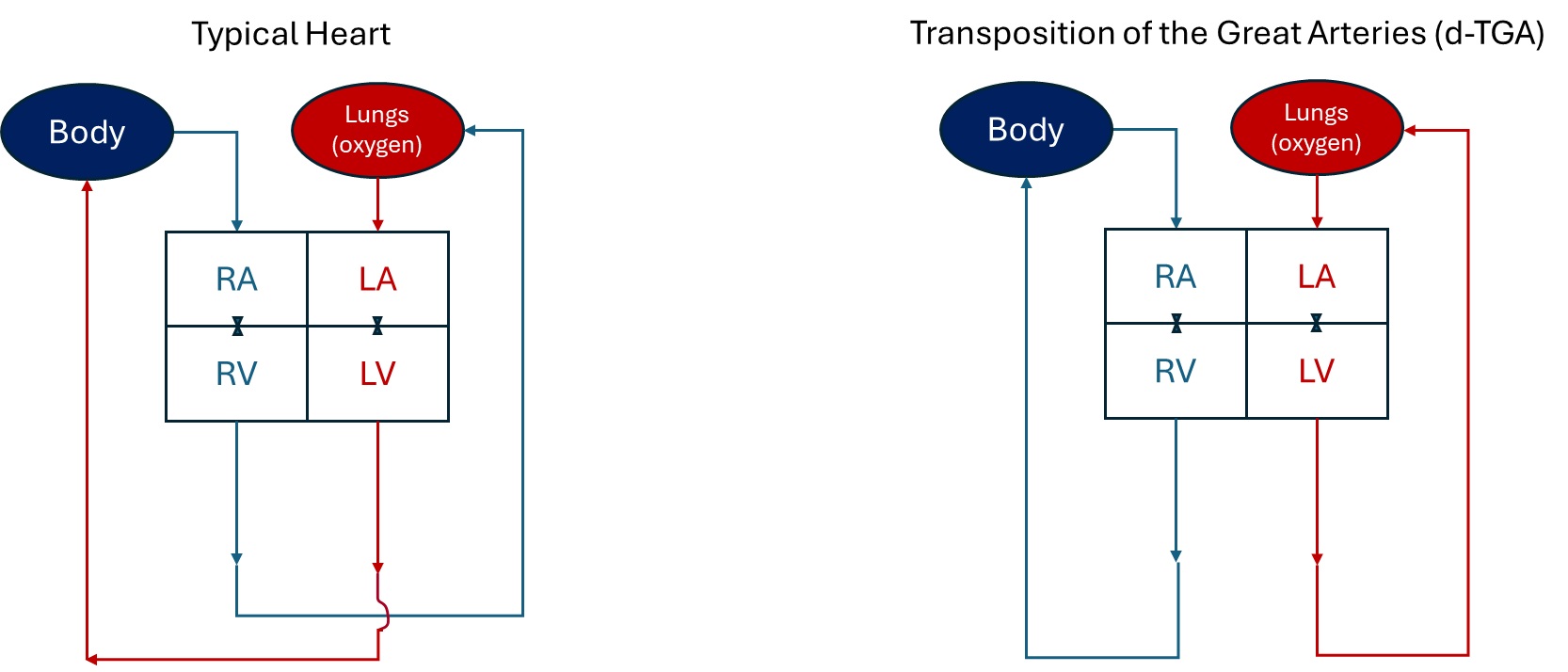Milestones & Reflections – The Mature Student Nurse